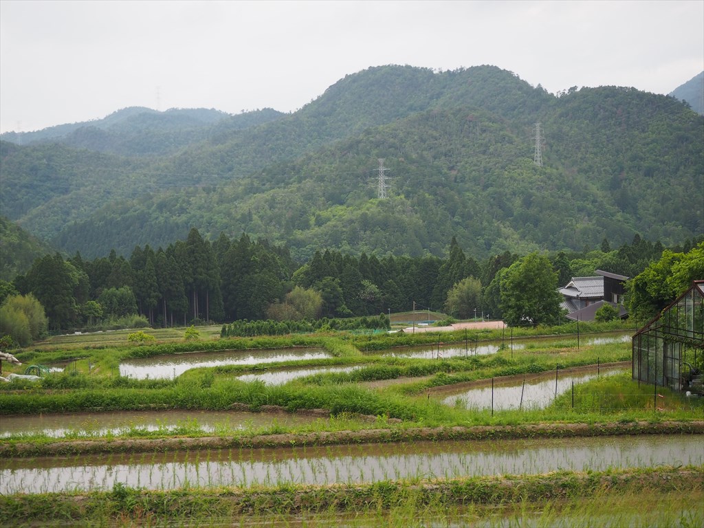 水を湛える宕陰（とういん）の棚田 | 京都旅屋